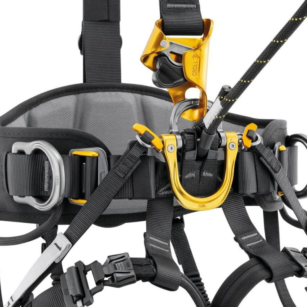 PETZL Astro Rope Access Harness (EU) - 2025 – Height Dynamics