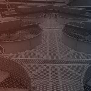 Height Dynamics - Height Safety Specialists